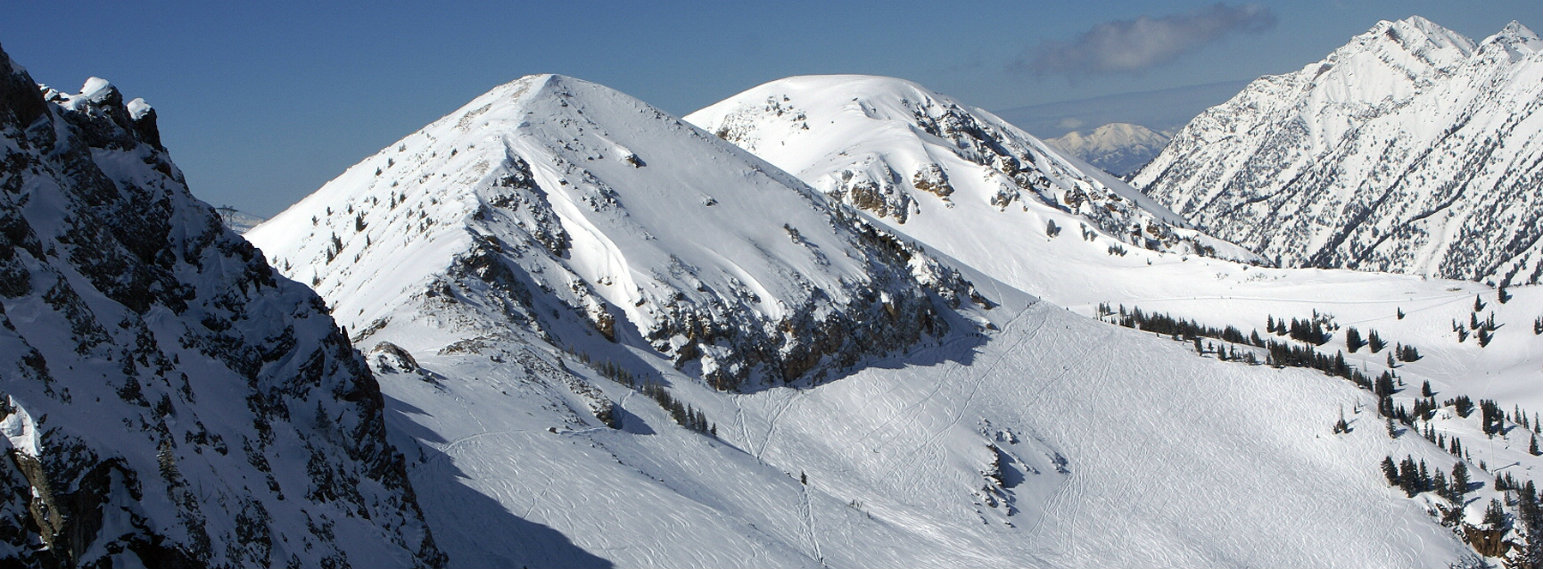 Alta Ski Resort - Ski Holidays in Alta | Ultimate Ski